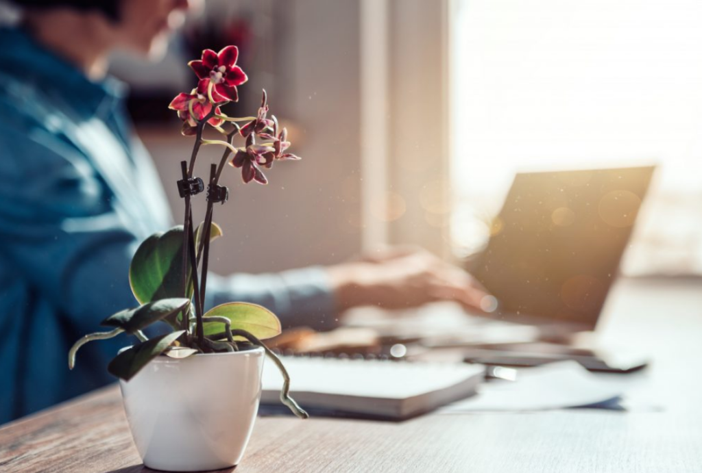 Kıbrıs Köftesi Tarifi - Meraklı Kız